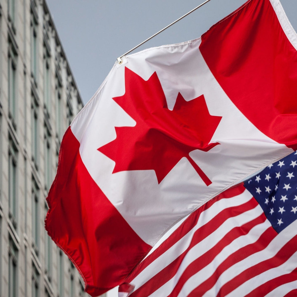 Navigating Potential U.S. Tariffs: What It Means for HD BioPak Custome ...